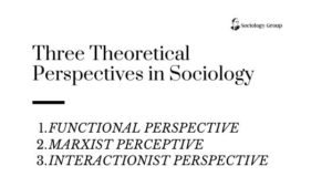 SOCIOLOGICAL PERSPECTIVES- MEANING, TYPES & EXAMPLES