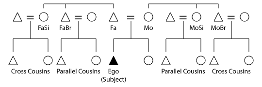 Parallel and Cross Cousins Concepts and Meaning