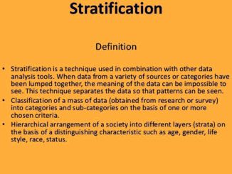 What is Social Stratification? Definition, Types, Theories and Examples