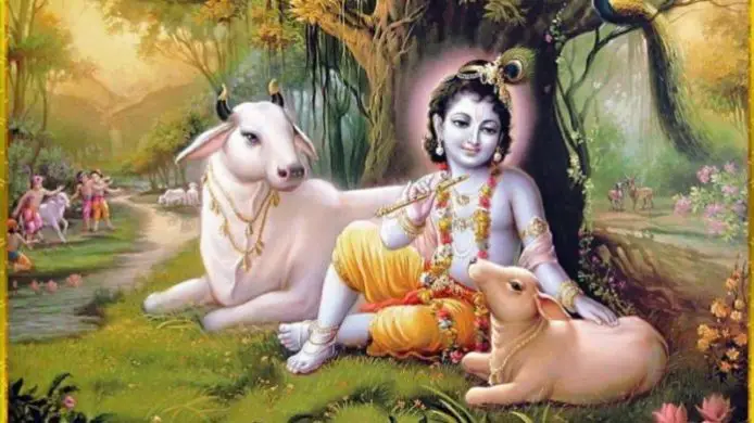 The True Story Behind ‘Why Did Sri Krishna Have 16108 Wives?'