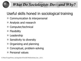 What do sociologists do