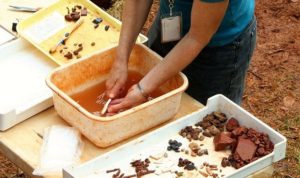 What is Archaeology and Who are Archaeologists: Explained