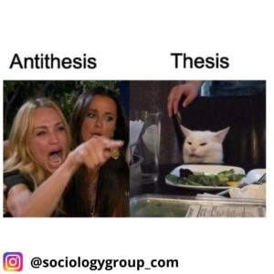 17 Best Funny Sociology Major Memes