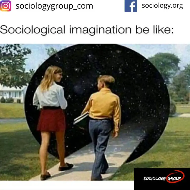 17 Best Funny Sociology Major Memes