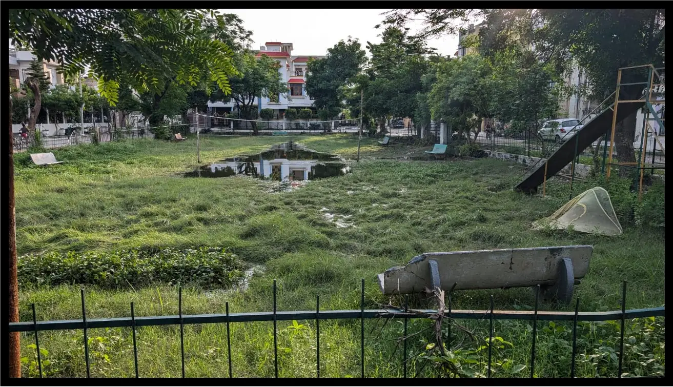 The Role of Garbage Collection in Community Health and Environment