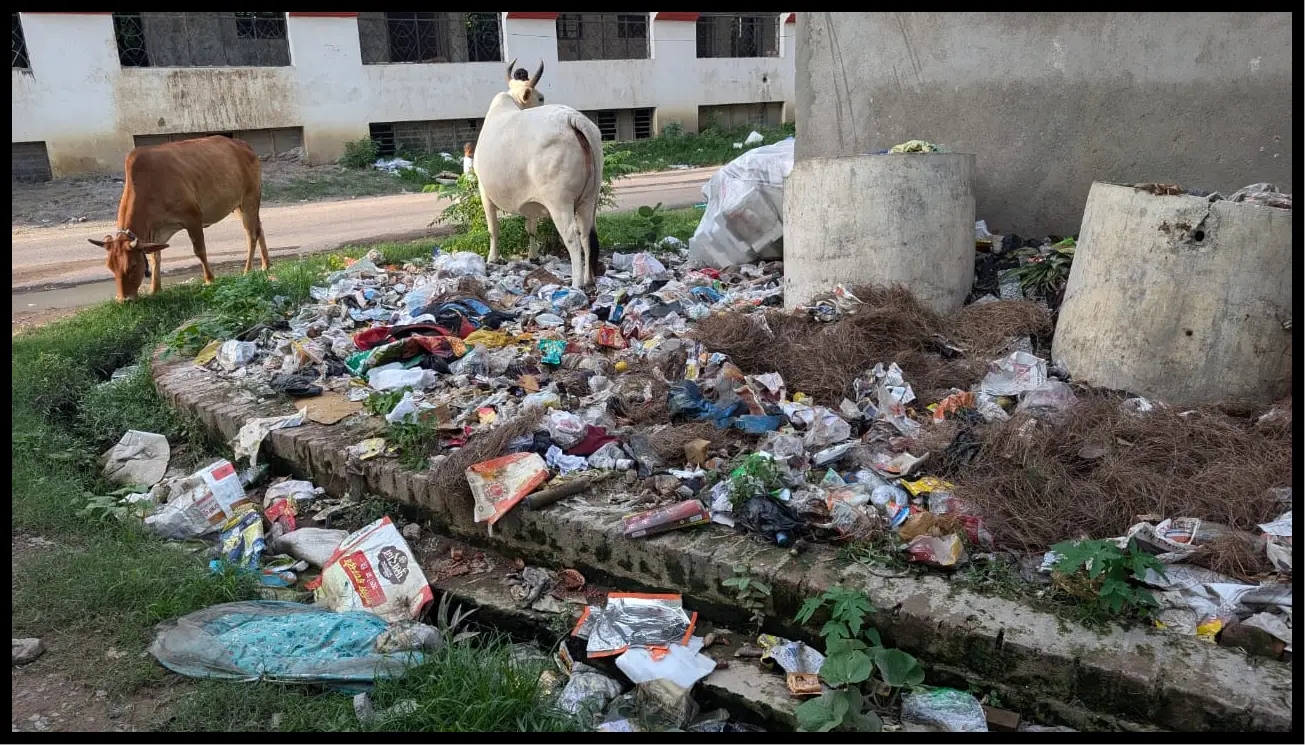 The Role of Garbage Collection in Community Health and Environment